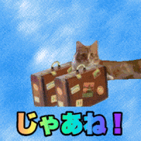 Cat Bye GIFs - Find & Share on GIPHY