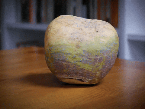 Turnip Hop Tu Naa GIF - Find & Share on GIPHY