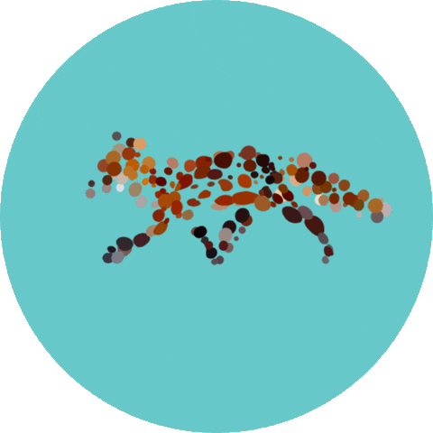 Animals Stickers on GIPHY - Be Animated