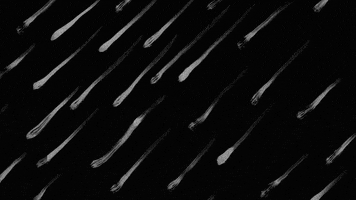 Falling Rain GIFs - Find & Share on GIPHY