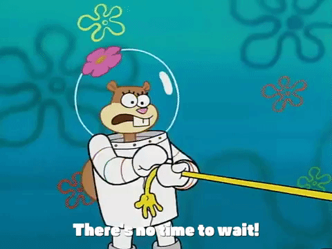 Season 2 Prehibernation Week GIF by SpongeBob SquarePants - Find ...