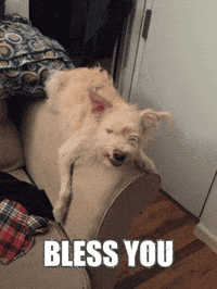 Funny God Bless You Gif