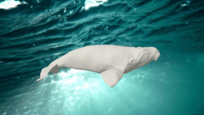 3D Swim GIF by sketchfab - Find & Share on GIPHY