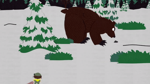 Bear Sniffing GIF by South Park - Find & Share on GIPHY