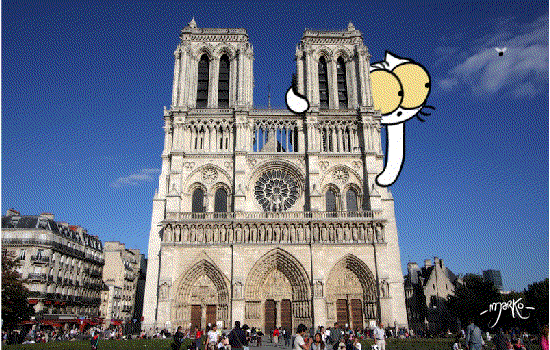Notre Dame Architecture GIFs - Get the best GIF on GIPHY