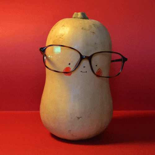 Squash GIFs - Get the best GIF on GIPHY