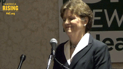 New Hampshire No GIF by America Rising PAC - Find & Share on GIPHY