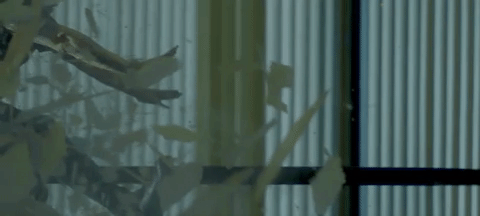 Social Media Fall GIF by Eminem - Find & Share on GIPHY