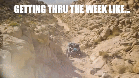 Work Utv GIF - Find & Share on GIPHY