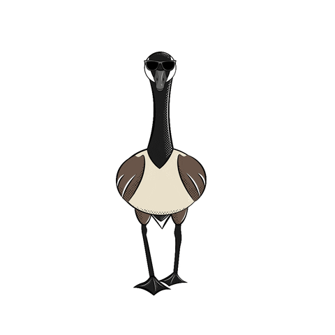 The Goose by Bare Tree Media | GIPHY