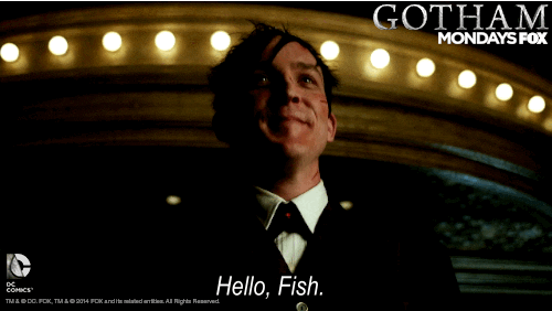 Hello Fish GIFs - Get the best GIF on GIPHY
