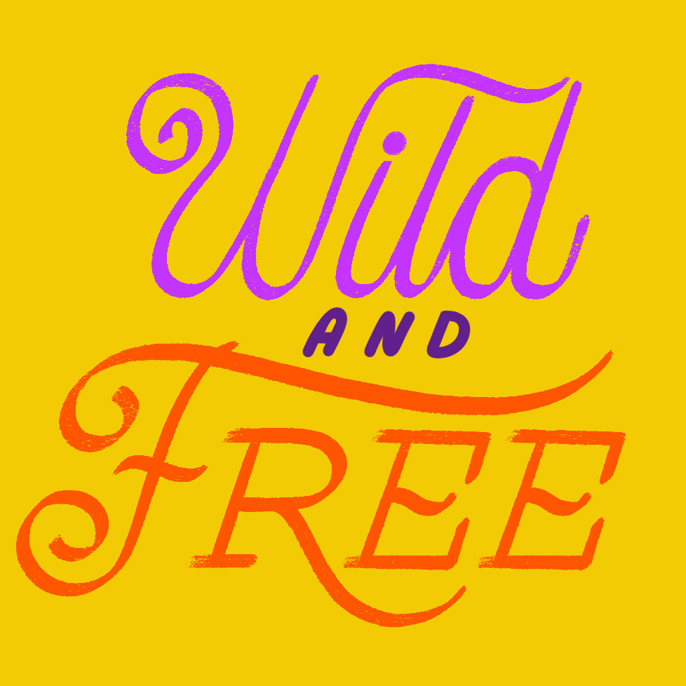 Free-fonts GIFs - Get the best GIF on GIPHY