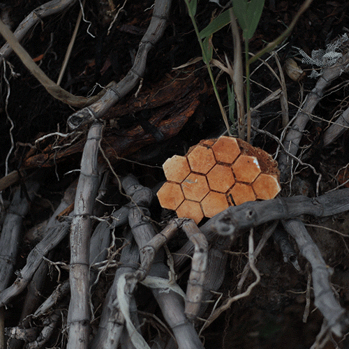 Super Hexagon GIFs - Get the best GIF on GIPHY