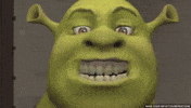 Shrek Rizz GIFs - Find & Share on GIPHY