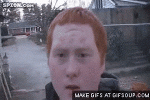 Ont GIFs - Get the best GIF on GIPHY