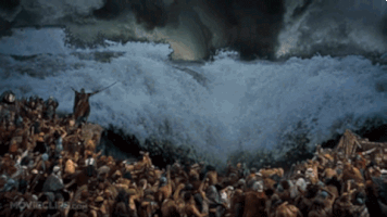 Part The Red Sea GIFs - Find & Share on GIPHY