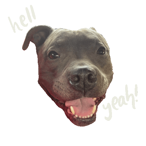 Hell Yeah Skeleton Gif