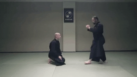 Ninjutsu manners by AKBAN Detant | GIPHY