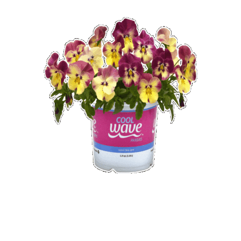 Ball Horticultural Co GIFs on GIPHY - Be Animated