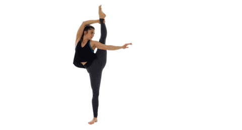 Stretch & Pole GIFs on GIPHY - Be Animated