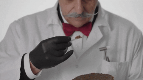Luxury Caviar GIF by Petrossian - Find & Share on GIPHY
