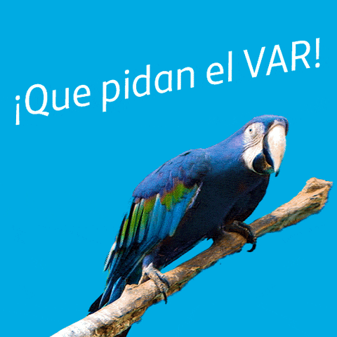 Loro Balon GIFs - Get the best GIF on GIPHY