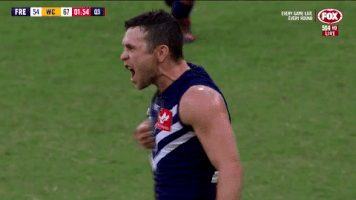 2018 Season Football GIF by AFL - Find & Share on GIPHY