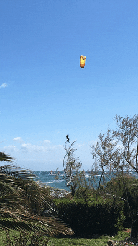 Kitesurfing Kiteboarding GIF - Find & Share on GIPHY