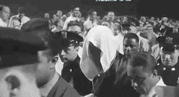 World Heavyweight Champion GIFs - Find & Share on GIPHY