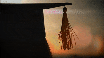 Graduation GIFs on GIPHY - Be Animated