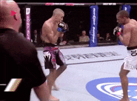 Knockout Gif