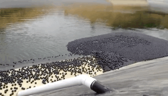 California Drought GIFs - Find & Share on GIPHY