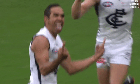 Carlton Afl GIFs - Get the best GIF on GIPHY