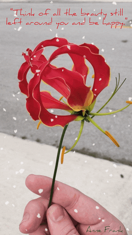 Inspirational Quote GIFs - Get the best GIF on GIPHY