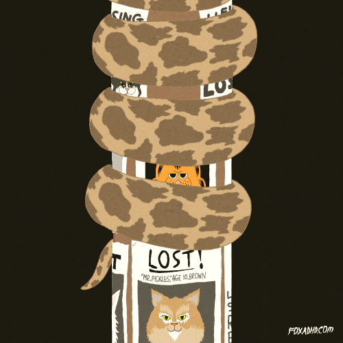 Cat Snake GIFs - Get the best GIF on GIPHY