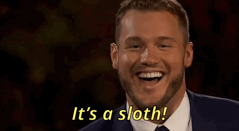 Every GIF of the Sloth from "The Bachelor" by Entertainment GIFs | GIPHY