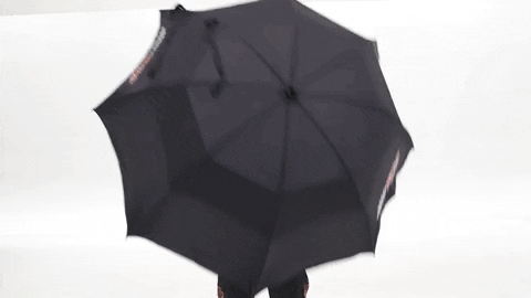 Cheddars x KB 2024 GIFs on GIPHY - Be Animated