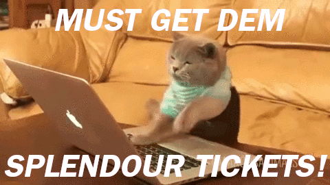 Splendour GIFs - Get the best GIF on GIPHY