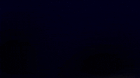 Discord Animated GIFs - Get the best GIF on GIPHY