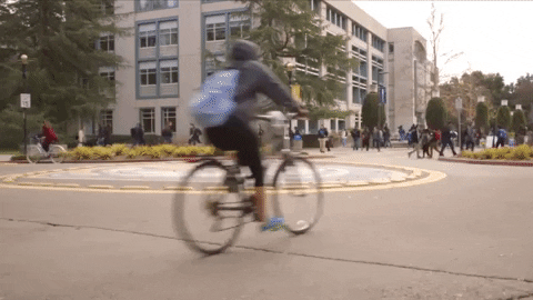 Davis Bike Circle GIFs - Get the best GIF on GIPHY