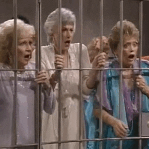 Golden Girls Fan Fiction GIFs - Get the best GIF on GIPHY