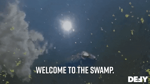 This Is My Swamp Gif