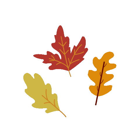 Fall Leaves Transparent Gif