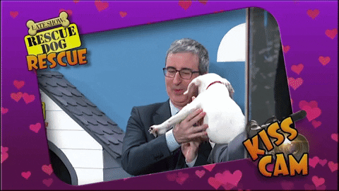 Dog-rescue GIFs - Get the best GIF on GIPHY