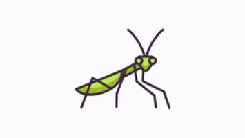 Praying Mantis GIF by Flat-icons.com - Find & Share on GIPHY