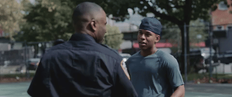 The Other Guys Gator Gif