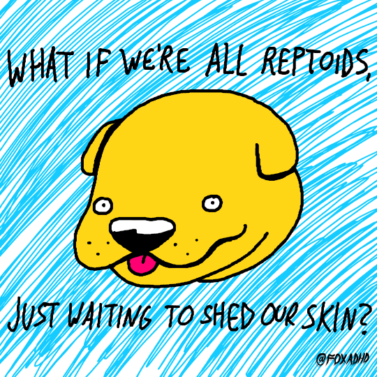 Foxadhd GIF by Animation Domination High-Def - Find & Share on GIPHY