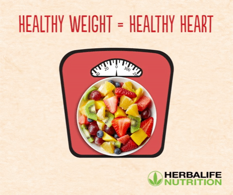 Healthy Weight GIFs - Get the best GIF on GIPHY