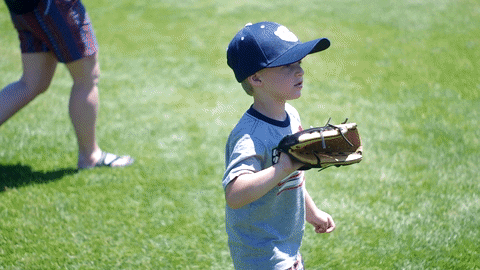 Baseball Catch GIF by Kane County Cougars - Find & Share on GIPHY