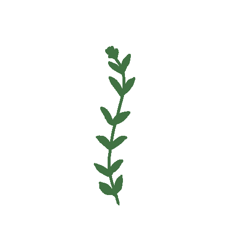 Flower Grow Sticker for iOS & Android | GIPHY